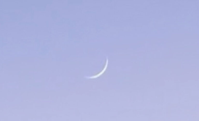 2023-2024 – 11th New Moon Sighted! Happy Month of Shevat (A Rod ...